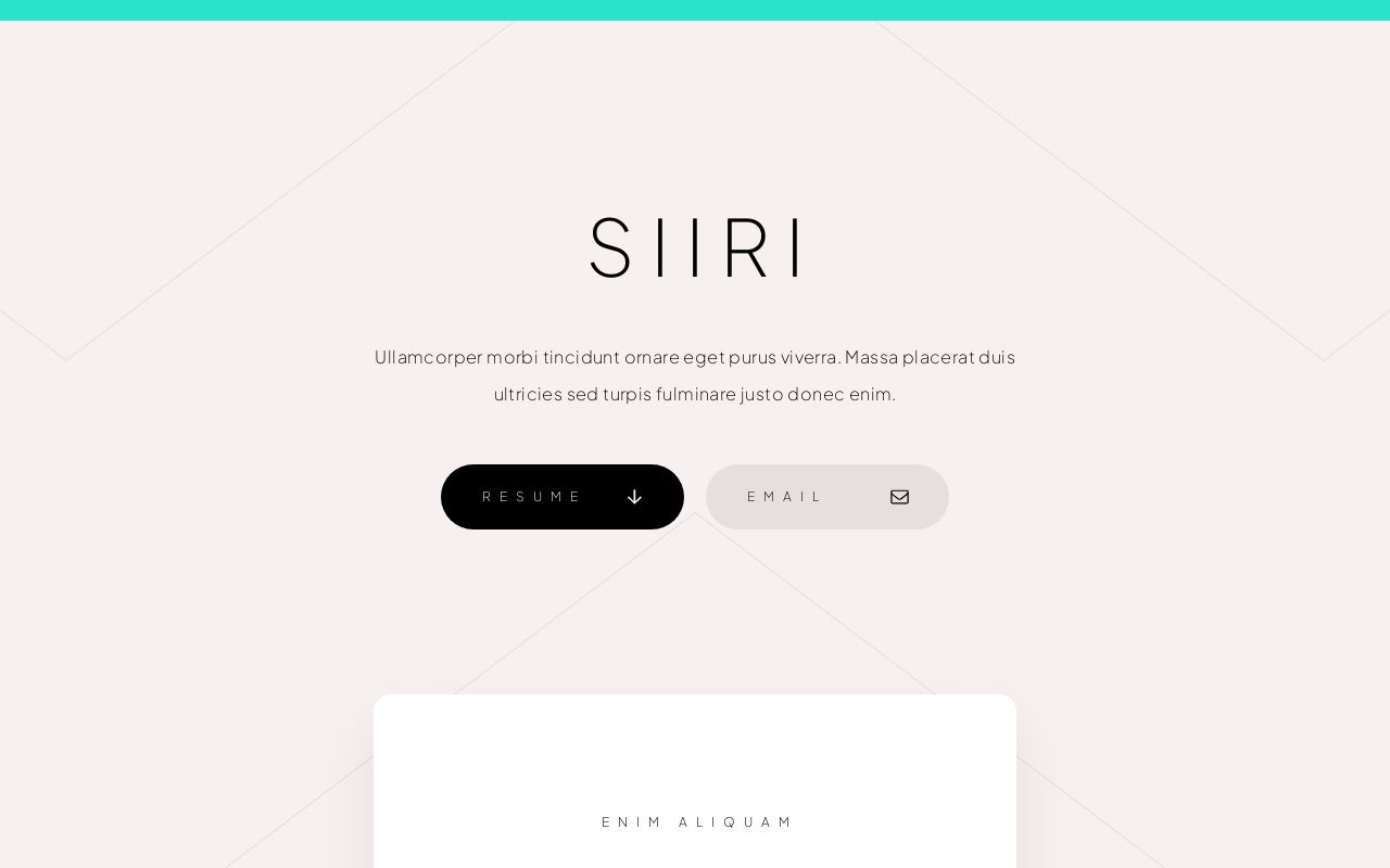 siiri portfolio